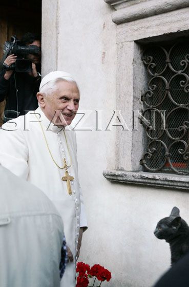 Cat Lovers Appreciate Soul Mate in Vatican Papst Press
